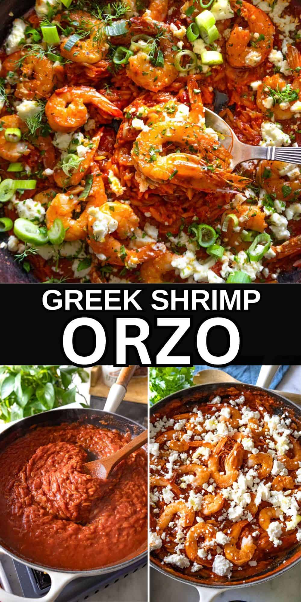 Greek Shrimp Orzo with Feta and Tomato (One-Skillet Dinner) | Nico's ...