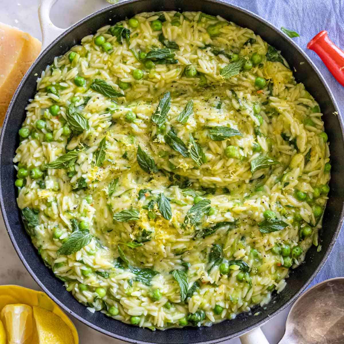 One-Pot Lemon Orzo with Zucchini | Hilltop Recipes